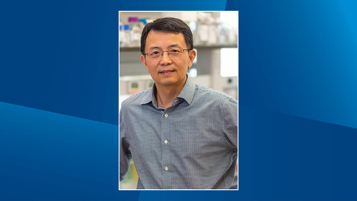 Restoring Mitochondria Shows Promise for Treating Chronic Nerve Pain ...